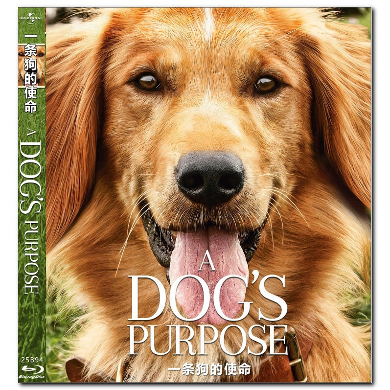 [En]1080P&4K Blu-ray HD Movies A Dog's Purpose | Shopee Malaysia