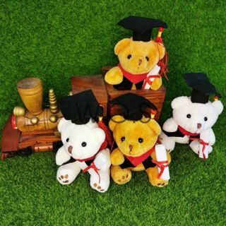 [Ready Stock]Wholesale 50pcs Mini Cute Graduation Teddy Bear / Anak ...
