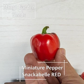 MANGO GARDEN SEEDS, Online Shop | Shopee Malaysia