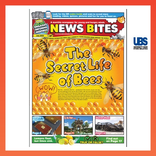 News Bites 34: The Secret Life of Bees (Newspaper for Kids & Teens ...