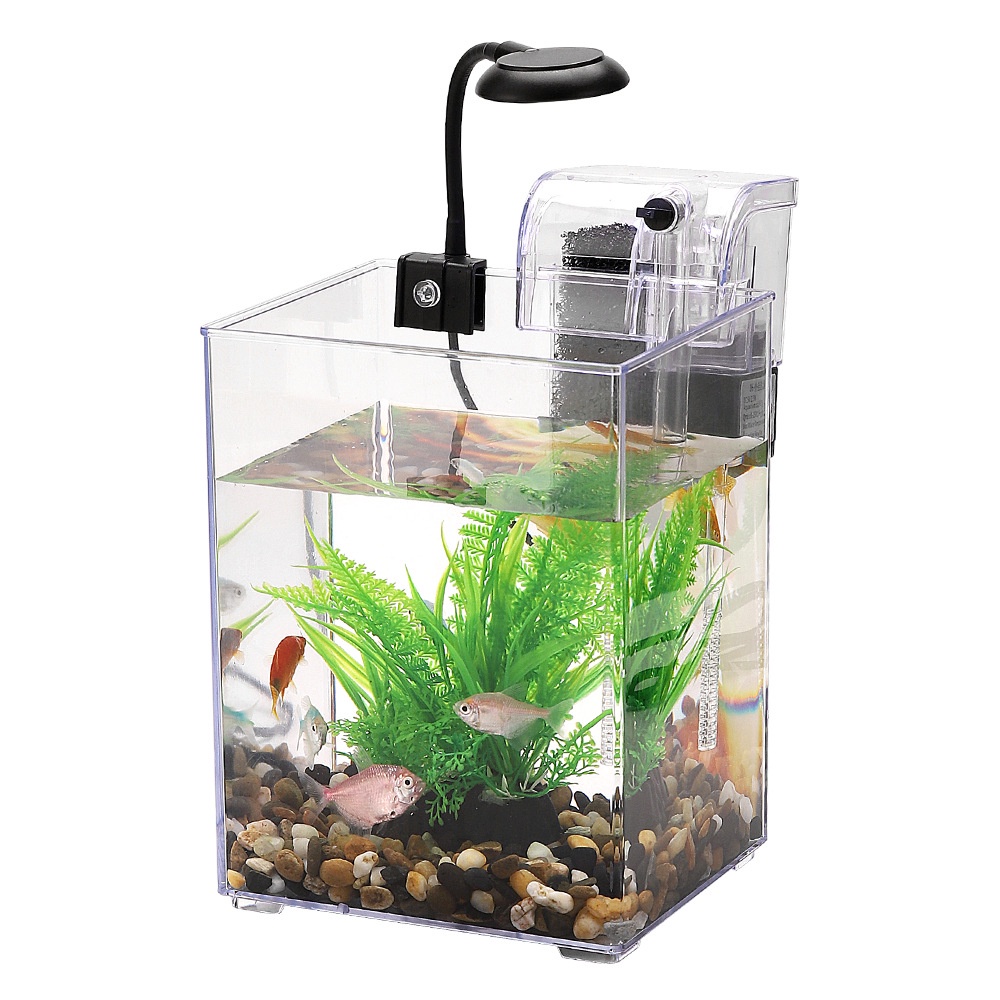 Aquascape small mini creative water features ecological small fish ...