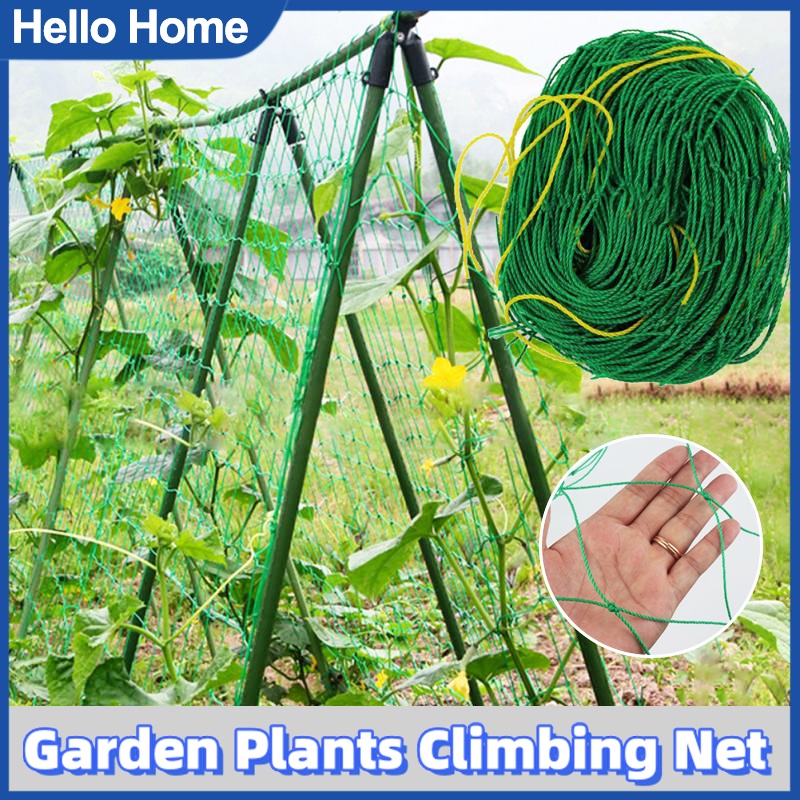 Garden Plants Climbing Net Nylon Vegetable Plant Trellis Netting ...