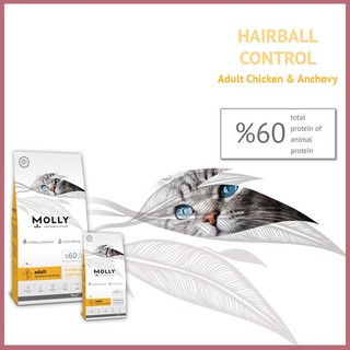 [15kg Original] Molly Cat Food Kitten & Mother / Shiny Hair / Indoor ...