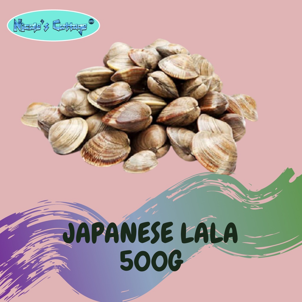 AINNA Short Neck Clam/Asari Clam/Japanese Clam/ Asari Lala 500G ...