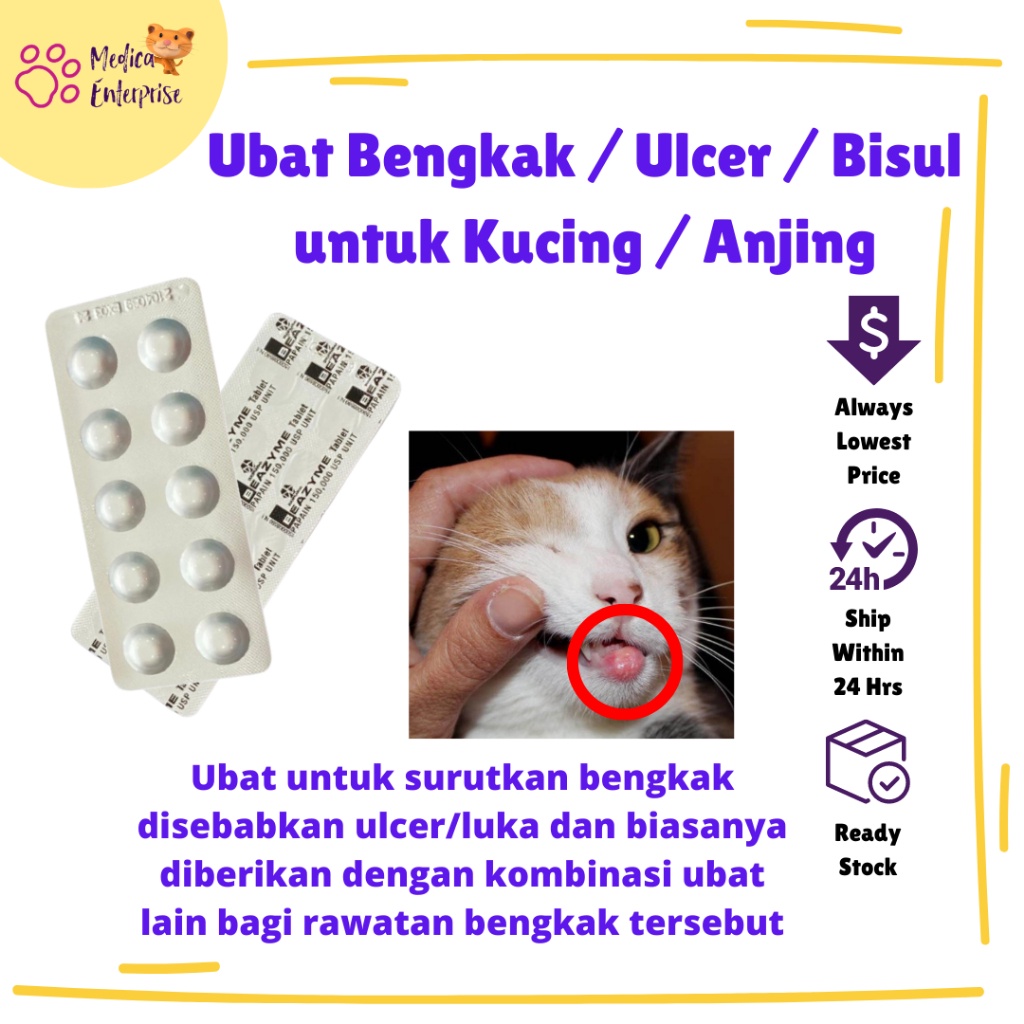 Ubat Bengkak/Ulcer/Bisul/Tahan Sakit Kucing Haiwan Peliharaan 5/10 Biji ...