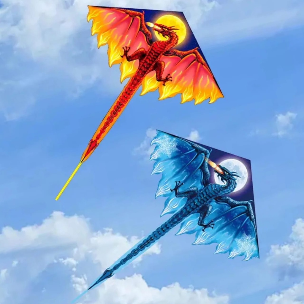 Ice & Fire Dragon Kites With Handle & String High Quality Ripstop Kite ...