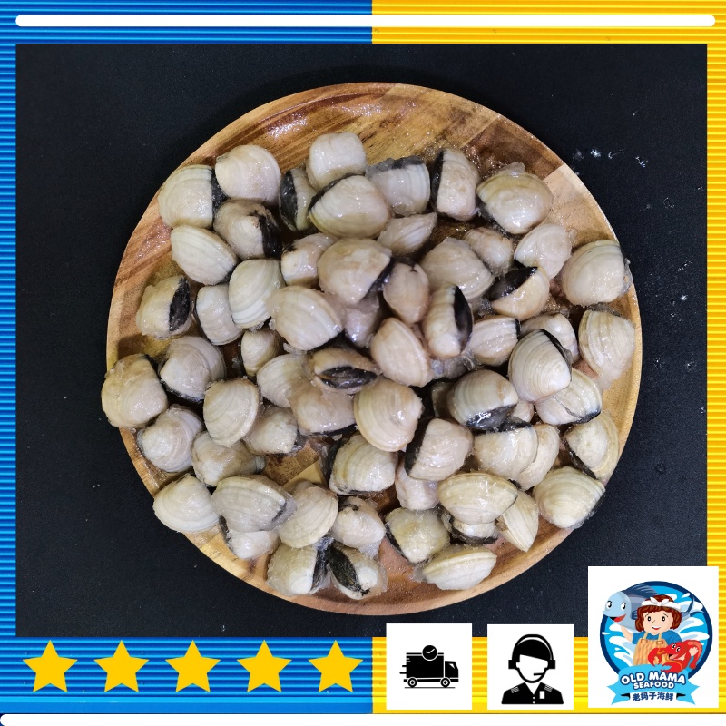 White Clam / 白壳沙白 (1kg/pkt) lala besar kepah fresh seafood - Old Mama ...