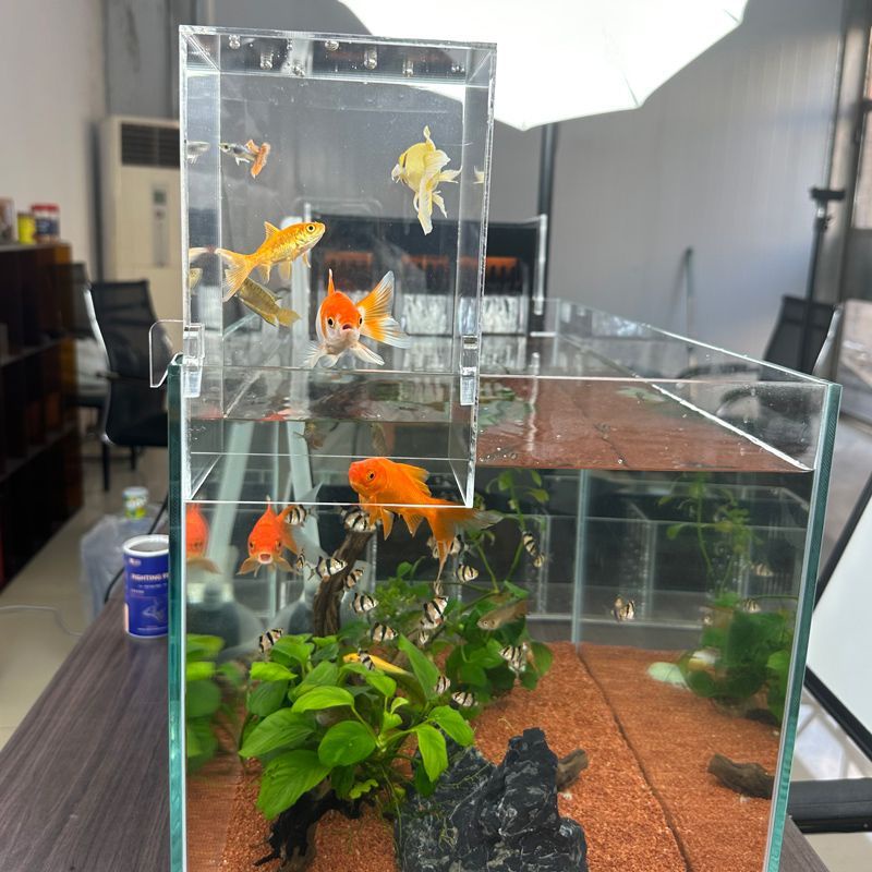 negative Pressure Fish Tank Fish Elevato / Tangki Ikan Tekanan Negative ...