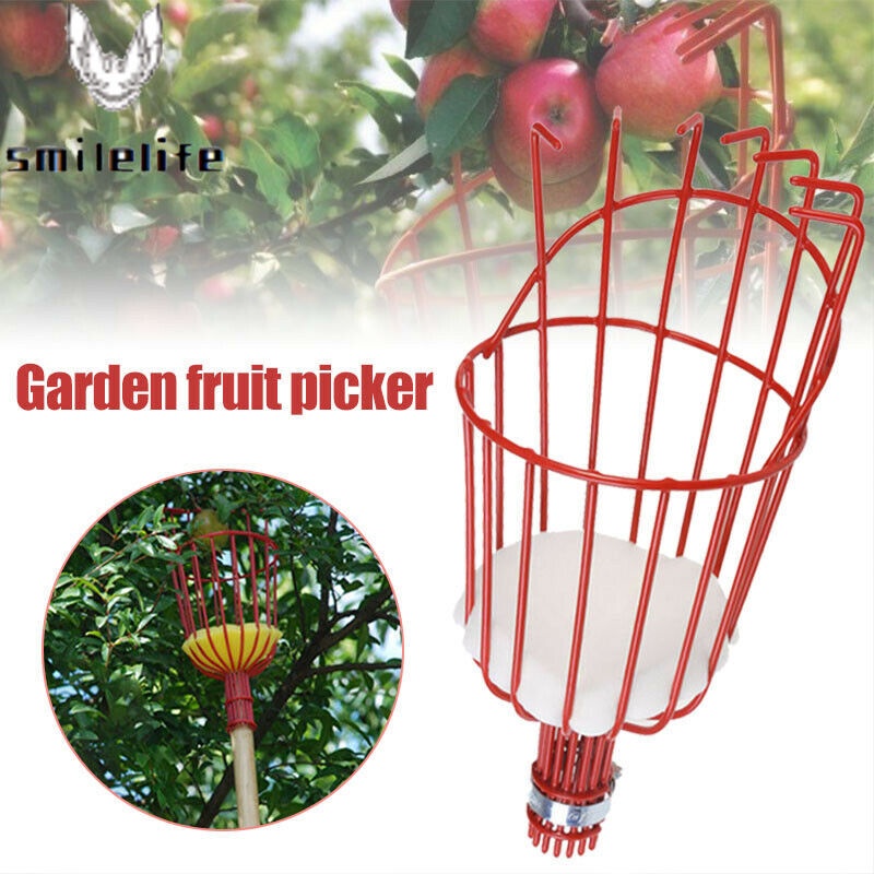 Fruit Picker Basket Catcher Picking Fresh Orange Garden Tools for Broom ...