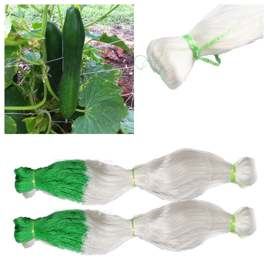2M X 100M Cucumber Net Netting Gardening Climbing Support Net Growth of Flowers Vegetable ...