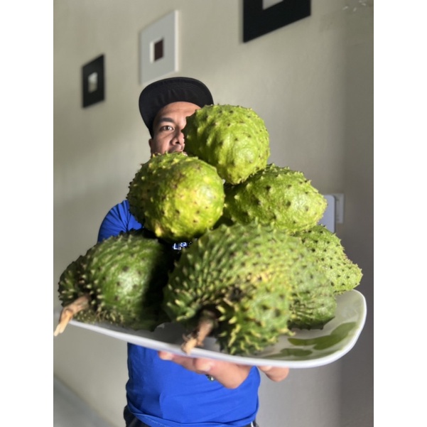 Buah Durian Belanda Fresh dari kebun.. Pengeposan 2x seminggu | Shopee ...