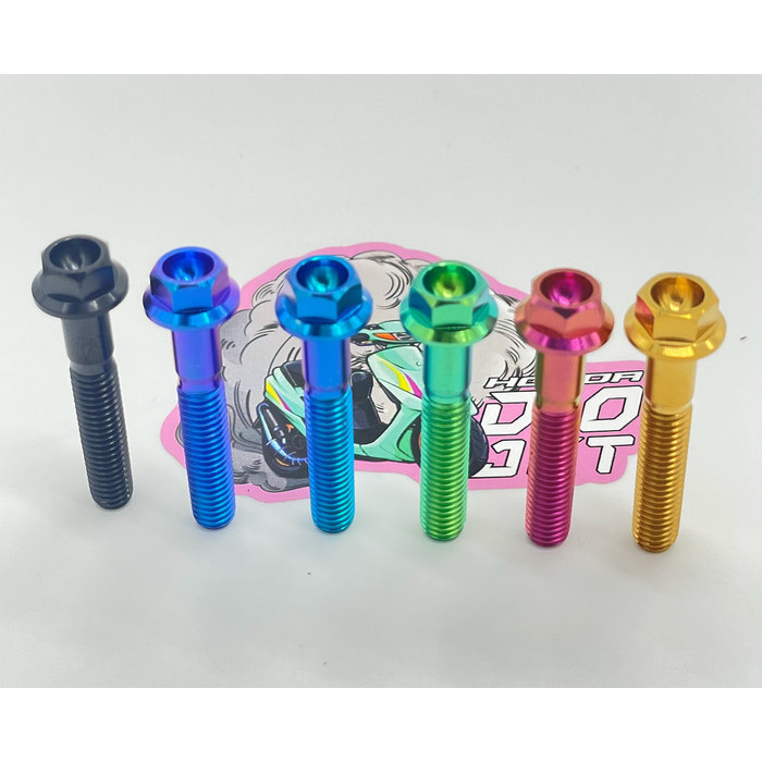 Titanium Pro Nut M6 x 35 Bolt Model C | Shopee Malaysia