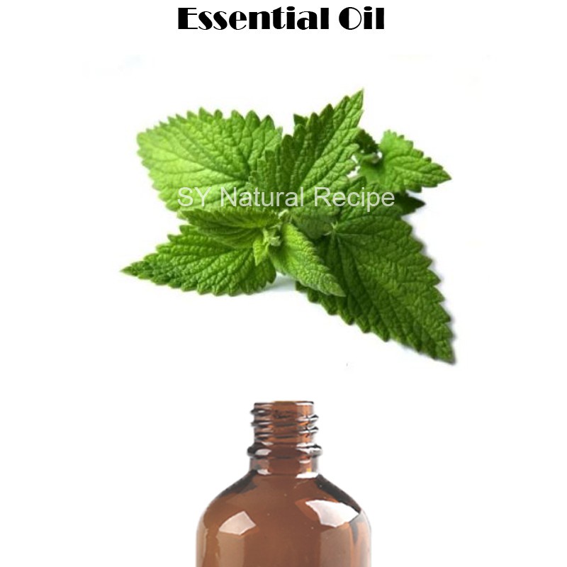 Menthol Liquid Essential Oil 薄荷醇精油 10ml / 50ml / 100ml | Shopee Malaysia