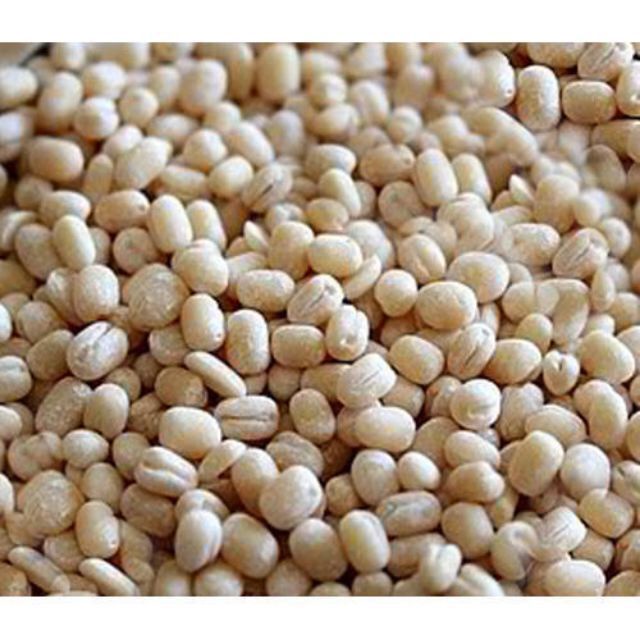 Dal Urad White/Ulunthu Putih/Lentils- 500g 1kg | Shopee Malaysia