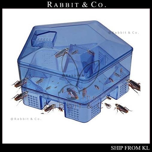 R&C Cockroaches Trap and Killer Plus Large Repeller No Pollute No ...