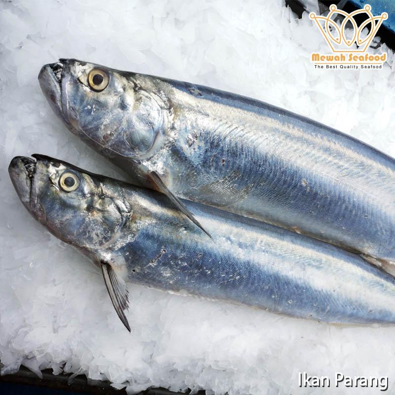 Ikan Parang Besar 1 Ekor 1kg ke-atas | Shopee Malaysia