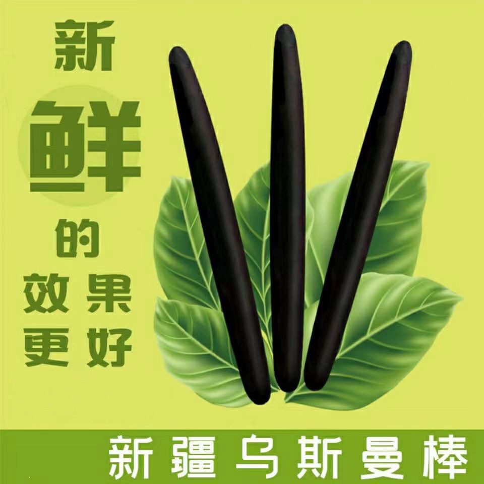 Xinjiang Usma Grass Stick Osman Usman Grass Stick Raw Eyebrow Eyebrow ...