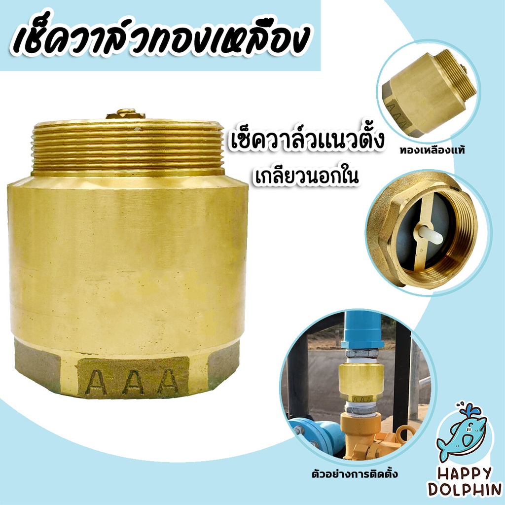 Total Brass Check Valve There Are Vertical And Horizontally Multi ...