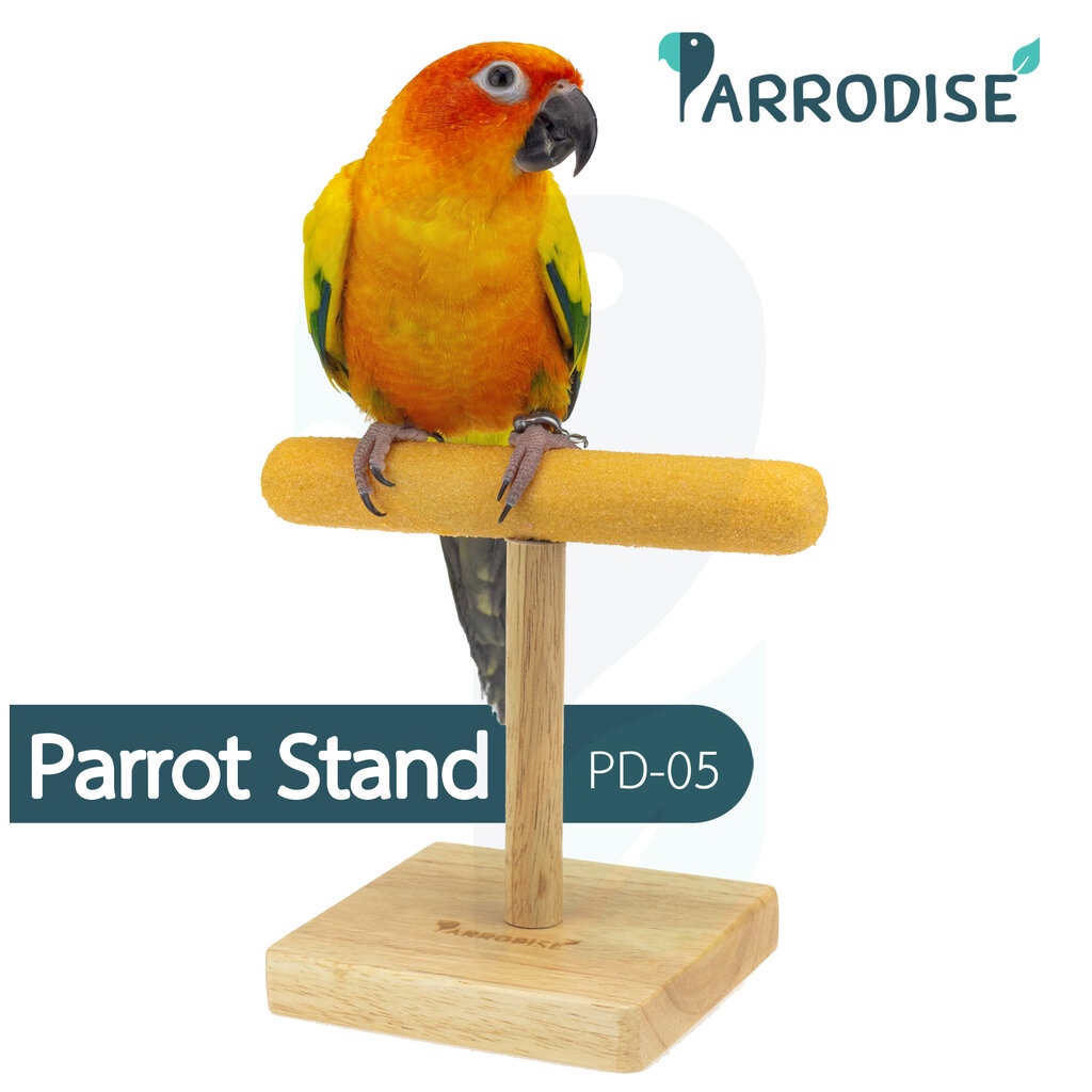 Parrodise PD-05 Square Perch Parrot Stand Wooden Bird-Standing Secret ...