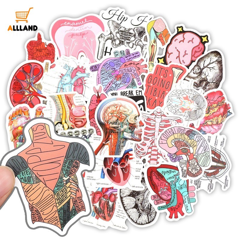 53pcs Funny Cartoon Body Organ Anatomy Stickers - DIY Water Bottle ...