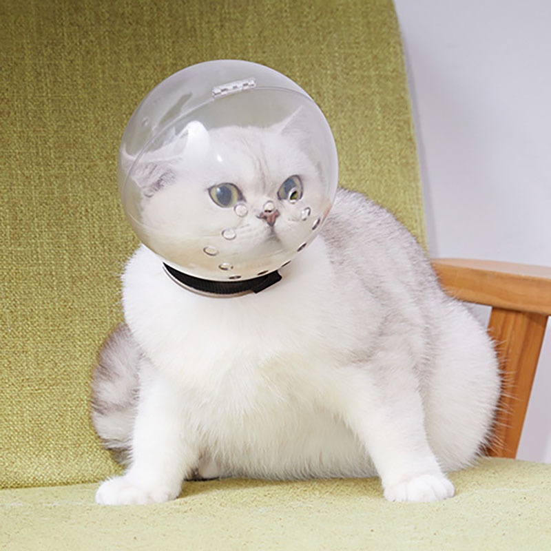 Breathable Cat Muzzle Anti Bite Astronaut Head Cover Grooming Mask Anti ...