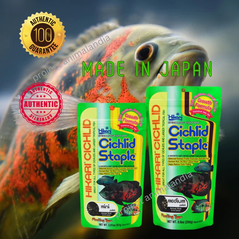 Hikari Cichlid Staple| Oscar fish food S,M,L Pellets 250g and 57g ...