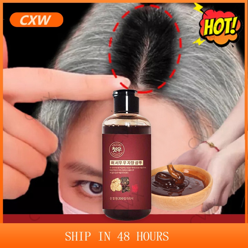 Herbal and Natural Polygonum multiflorum shampoo with natural ...