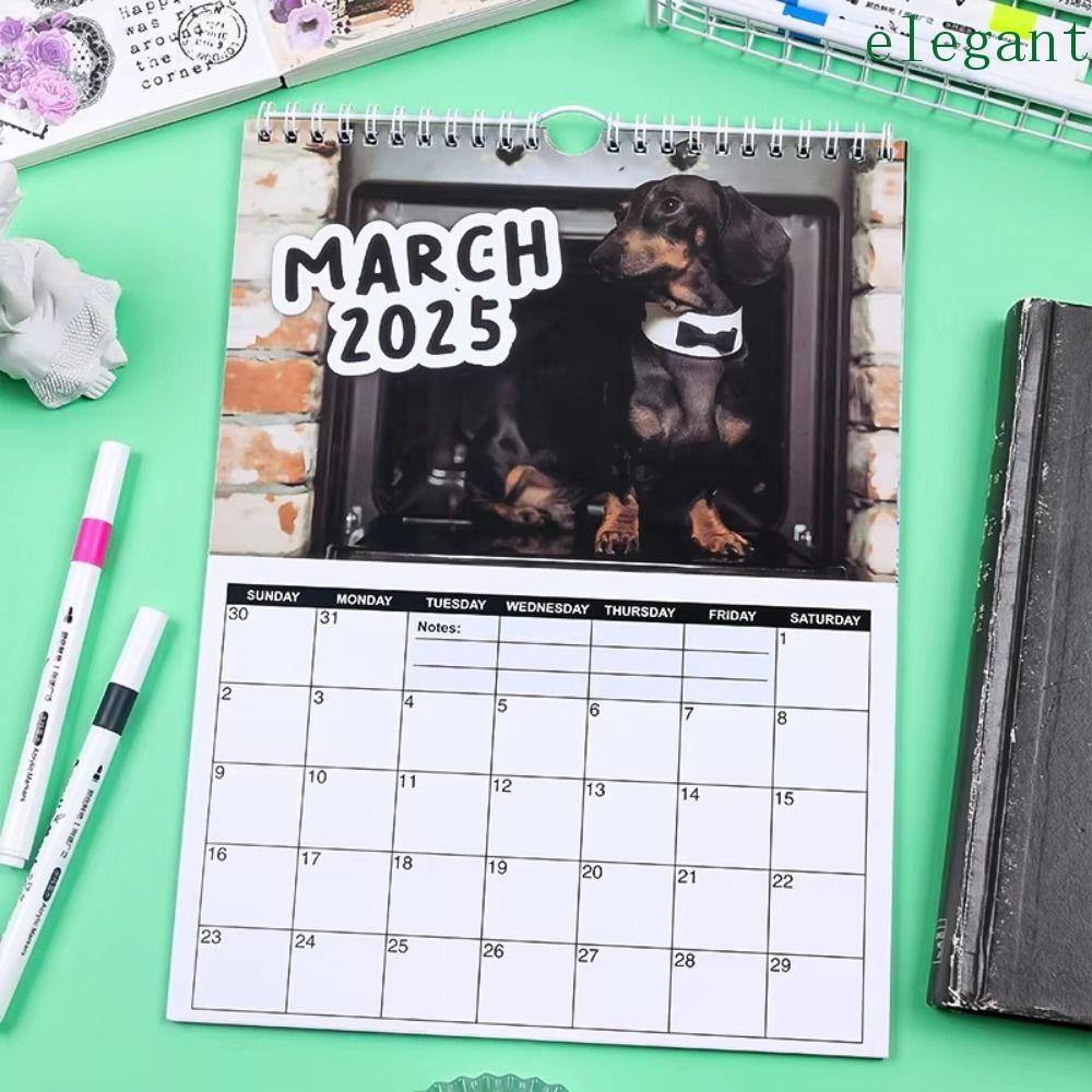 ELEGANT 2025 Calendar, Medieval Cute Pet Sausage Dog Themed Calendar ...