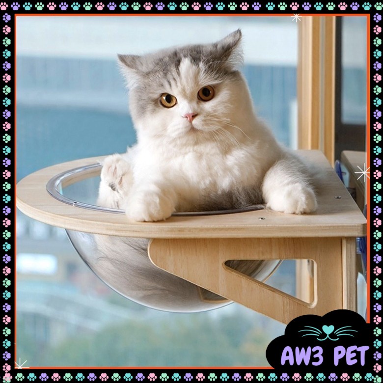 Air space Wooden Hanging Bowl Bed Sleeping Playing window suction Fun ...