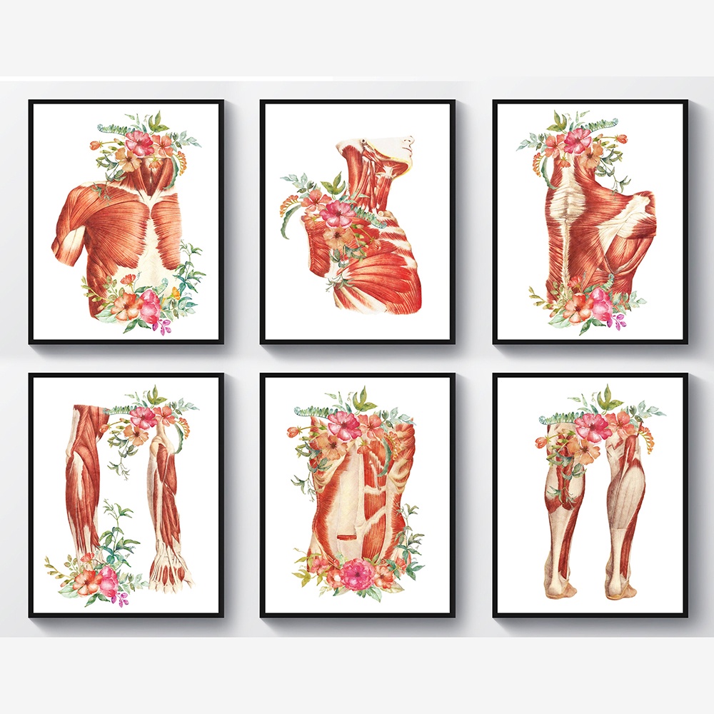 Watercolor Flowers Muscle Anatomy System Canvas Painting Human Body ...