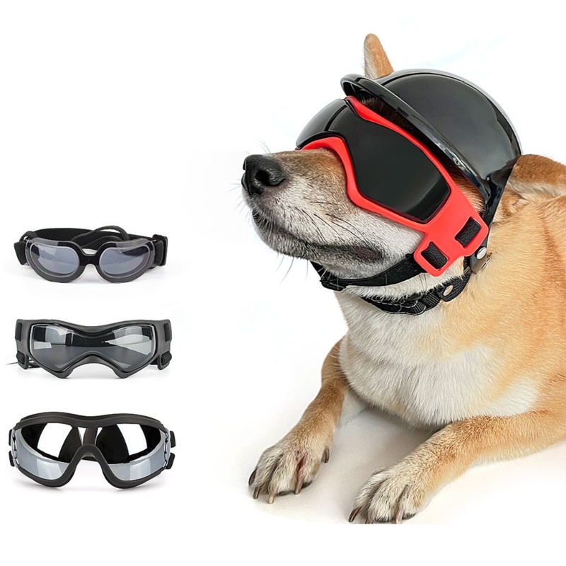 JOY Dog Safety Riding Cap Motorcycle Bike Hat + Goggles Outdoor ...