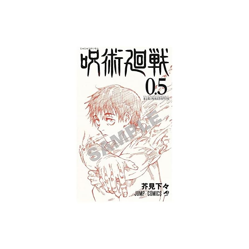 Jujutsu Kaisen 0 Movie Akutami Koshou Visitor Present Booklet 0.5 ...