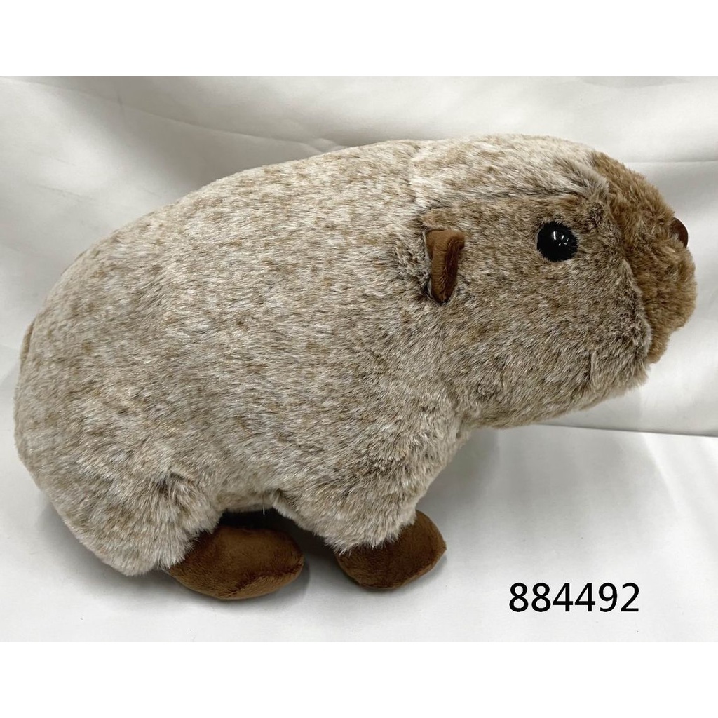 Yiwan 14 Inch Standing Capybara Doll eslite | Shopee Malaysia