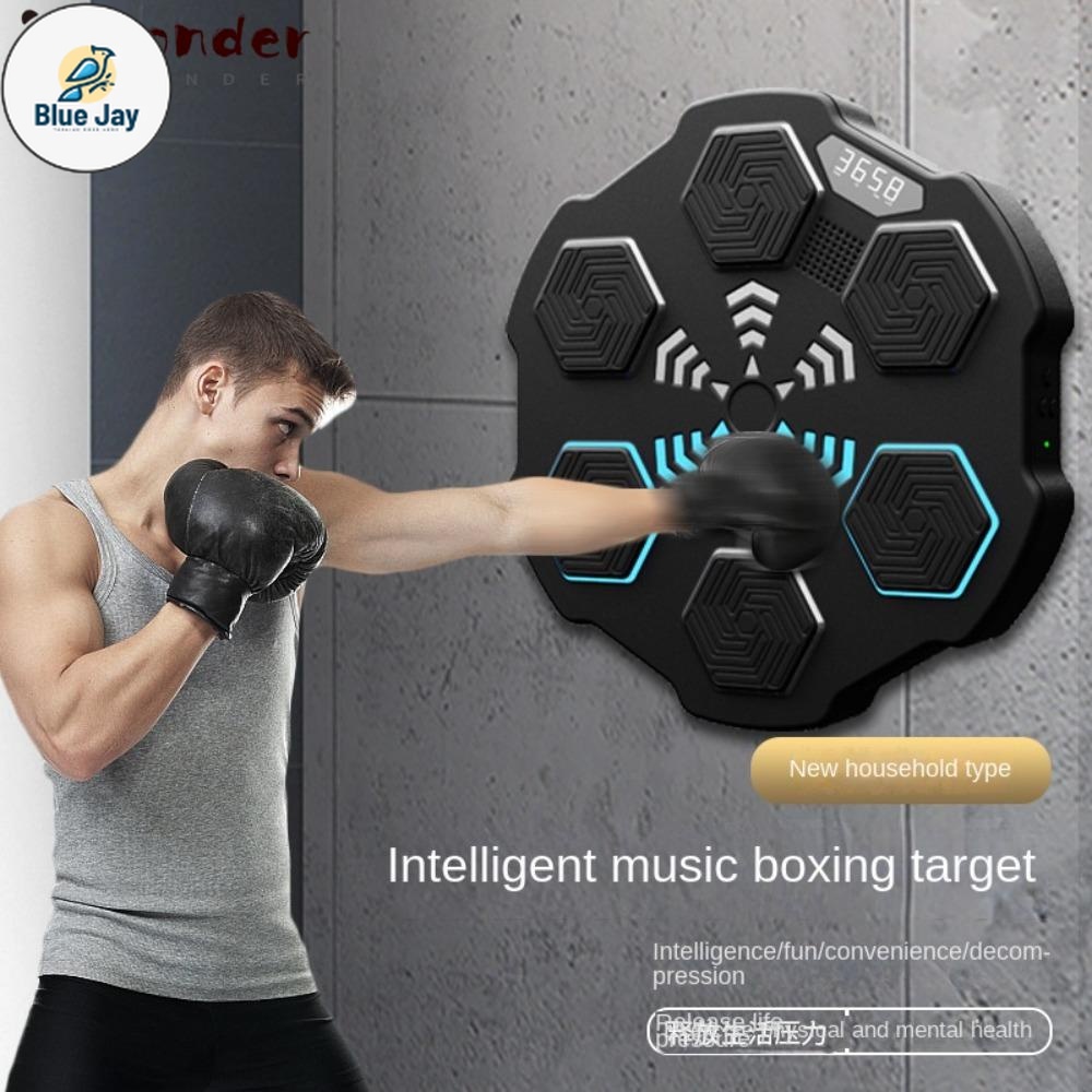 WONDER Boxing Wall Target, Bluetooth Punching Pad Boxing Sports Smart ...