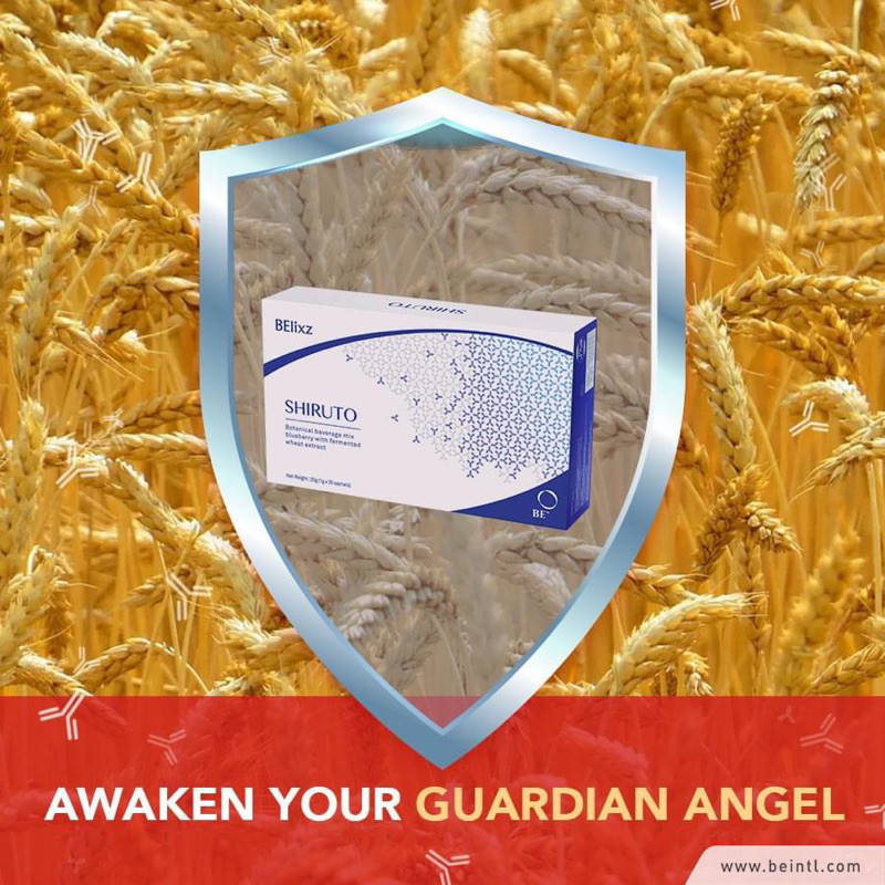 SG 【SHIRUTO】 | Shopee Malaysia