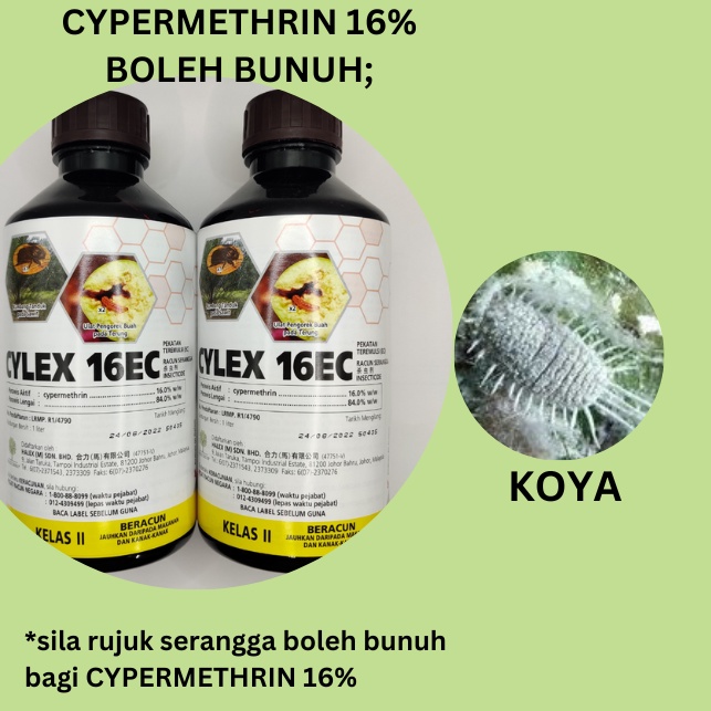 Racun Cyperway Cypergard cypermethrin 16% ulat beluncas pengorek pucuk kumbang tanduk pengerat ...