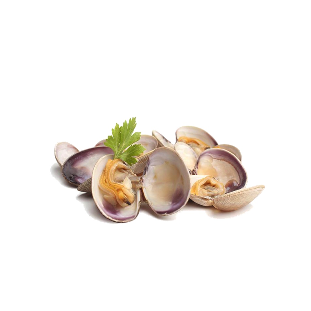 Whole Shell Clam 花啦啦 (500g) | Shopee Malaysia