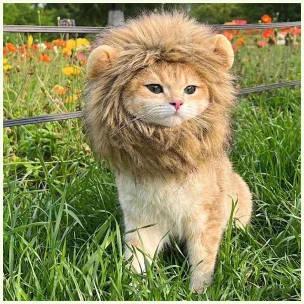Lion Mane Cat Costume Lion Mane Wig Kitten Dress Up Pet Cat Costume ...