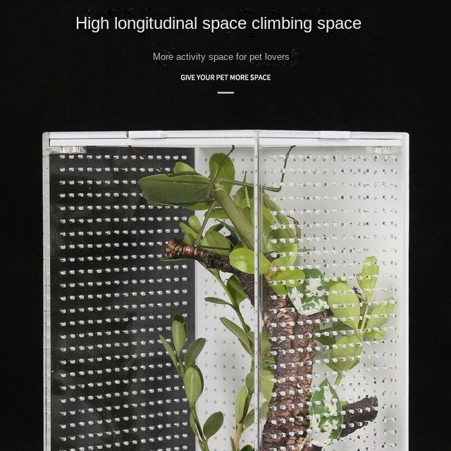 Acrylic Breeding Box Bamboo Insect Box Mantis Cans Cage Beetle ...