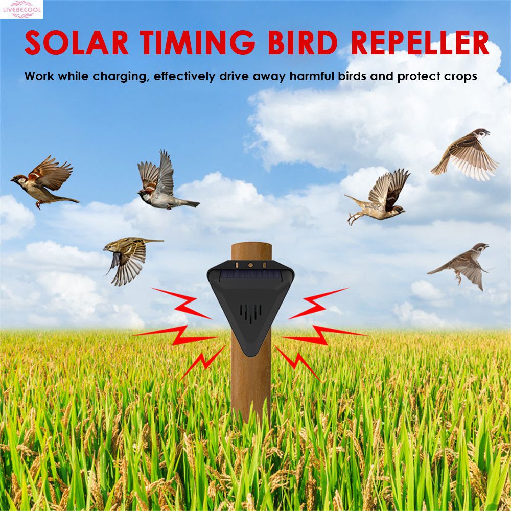 Ultrasonic Solar Pest Repeller Bird Repeller Keep Bird Away Repellent ...