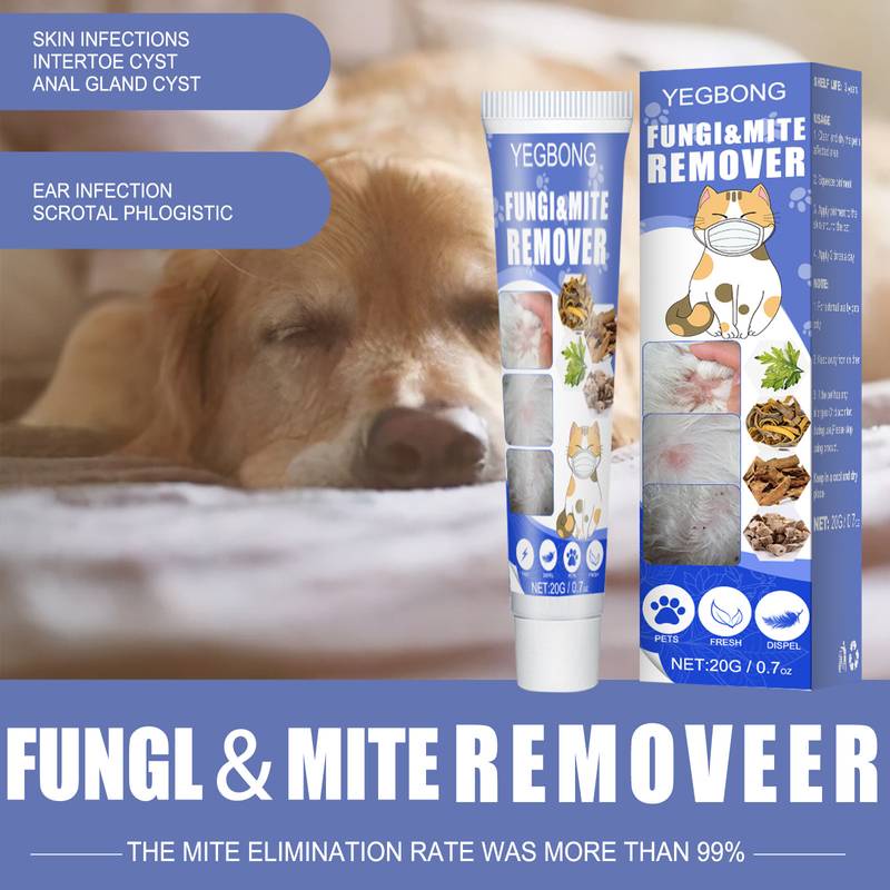 Pet Dog Mite and Fungal Infection Relief Cream Soothing Skin Itchiness ...