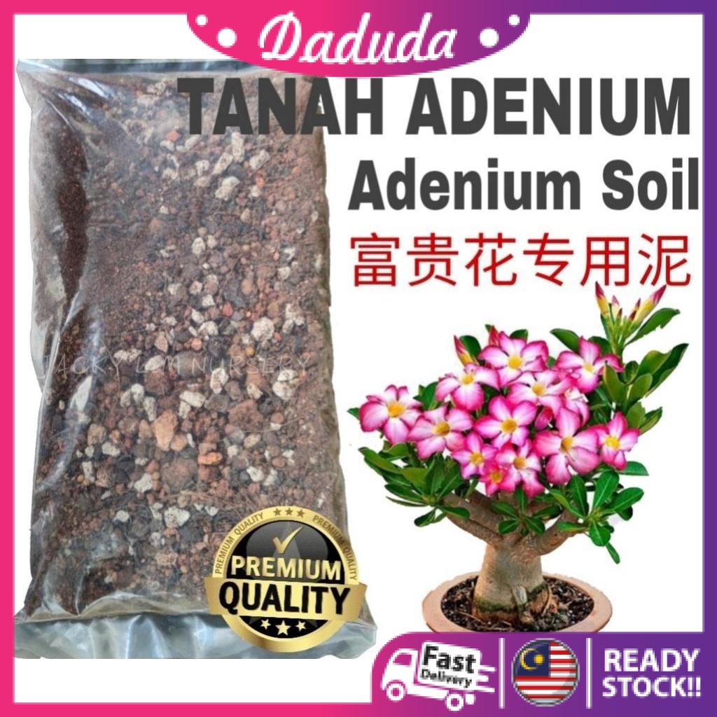 ADENIUM OBESUM POTTING MIX SOIL 1kg TANAH UNTUK POKOK BUNGA KEMBOJA ...