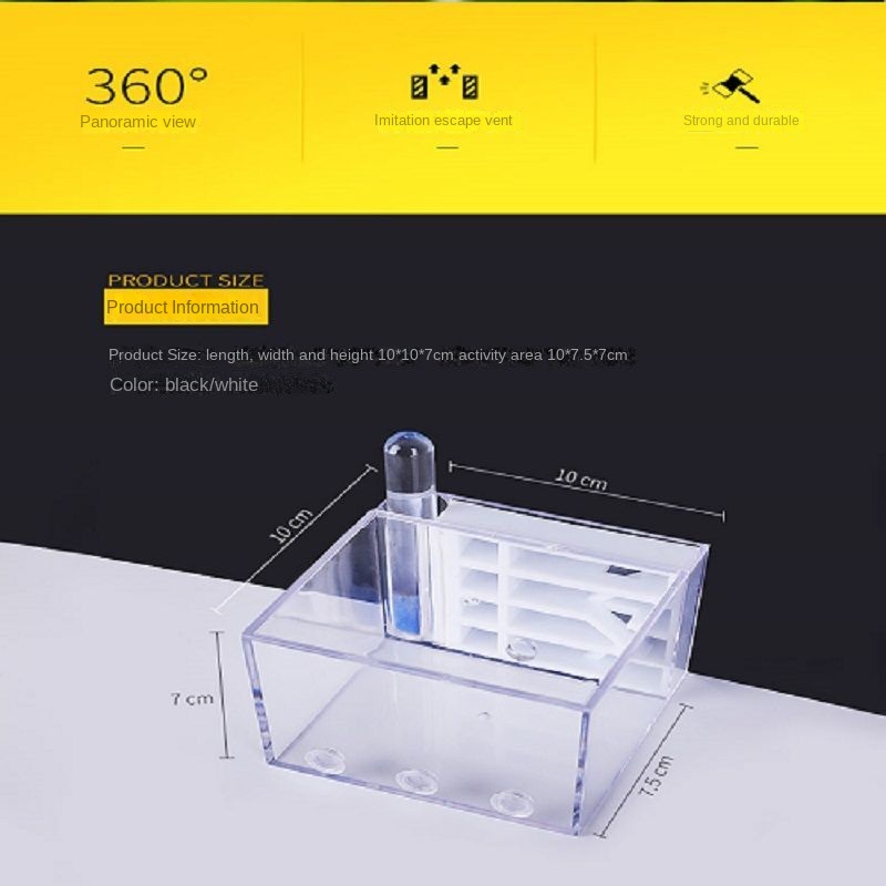 Ready Stock pet house Ant Nest Starter Kit Ant Workshop One Nest Can ...