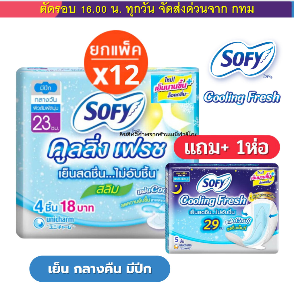 Sofy 12 Pack Jar Free 1 Great Value Available In Both Day Night And Cool Formula. | Shopee Malaysia