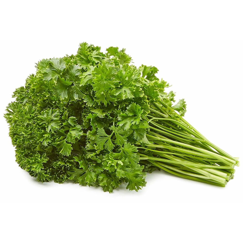Fresh Chinese Parsley / Pasli Cina (300g±) | Shopee Malaysia