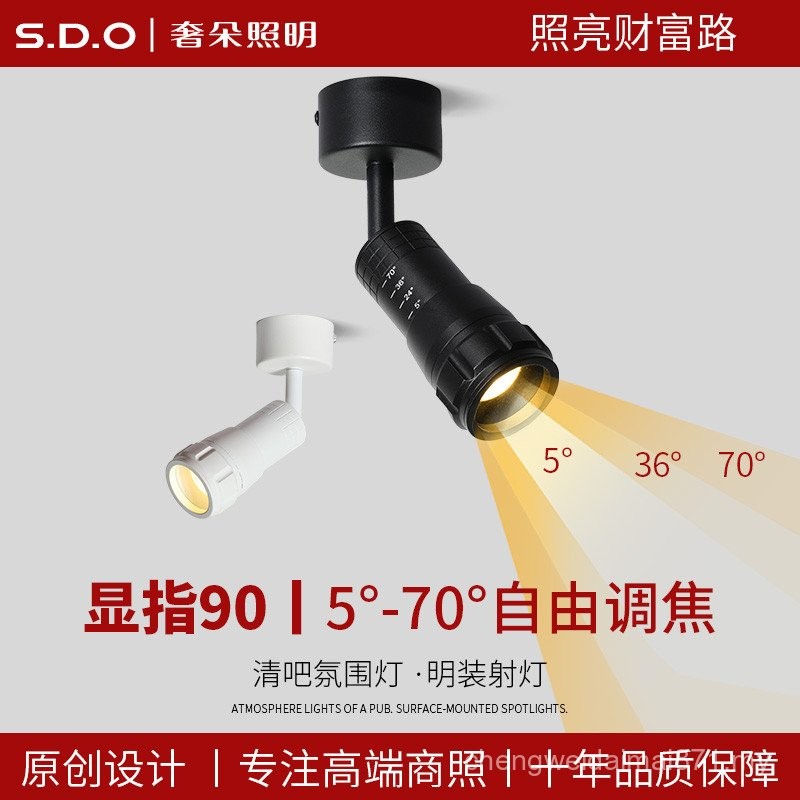 Lampu Sorot Zum Dipasang di Siling Sudut Kecil 5 Darjah Fokus Cahaya ...