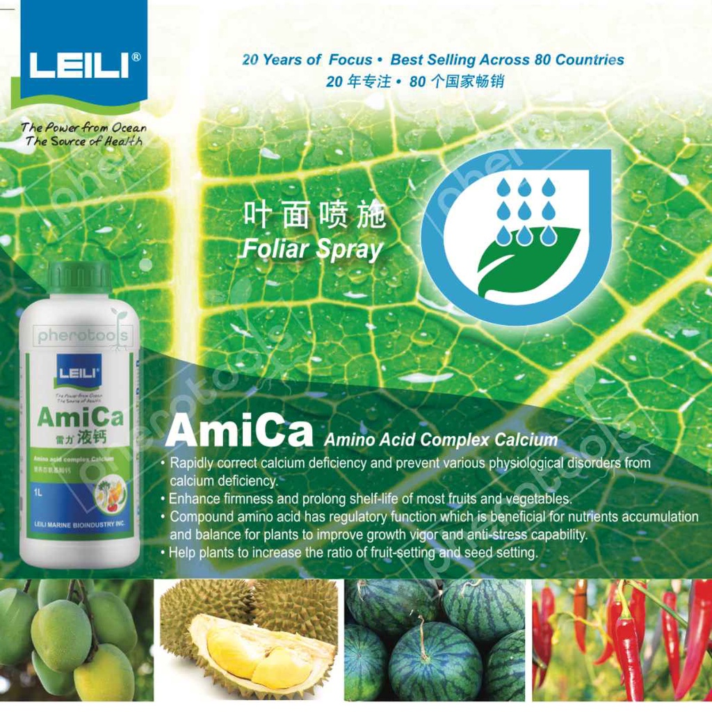 Pherotools LEILI 三宝 (Leili 2000, AMICA & Algreen) Complete Balanced ...