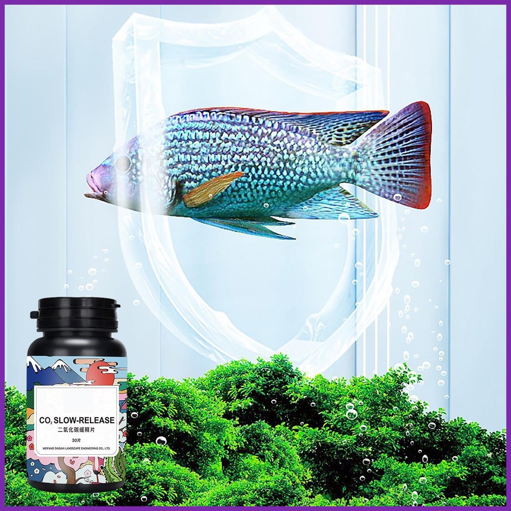 Carbon Dioxide Tablets Aquarium Plants Nutrients CO2 Tablet Co2 Tablet Carbon Dioxide Generator ...