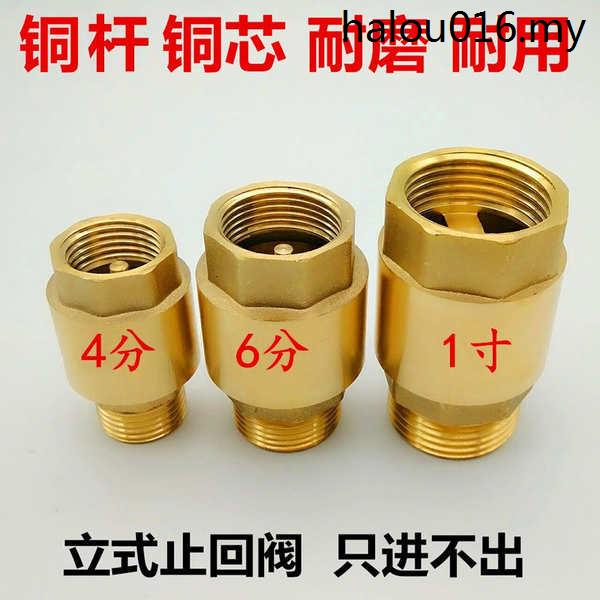 Brass Vertical Check Valve Tap Water Pipe Water Meter Water Pump Check ...