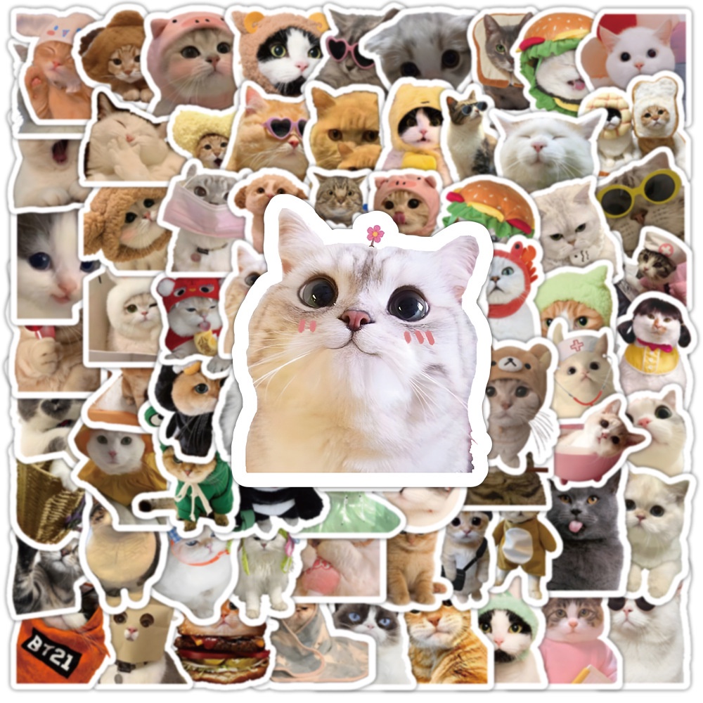 100Pcs Cat Stickers for Tumbler Aquaflask Phone Laptop, Waterproof Cat ...